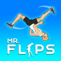Flip Master - Play Flip Master On Wacky Flip